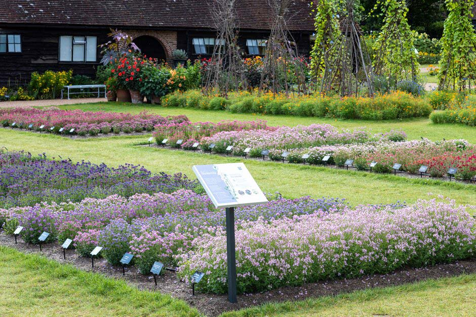The RHS’s Showpiece Wisley Garden – A Listening Heart
